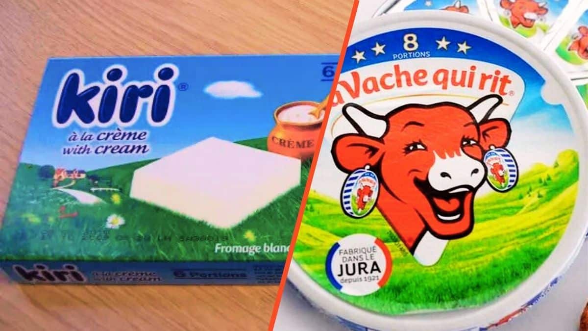 Kiri et Vache qui rit c’est fini, à quoi vous attendre avec ce nouveau ...