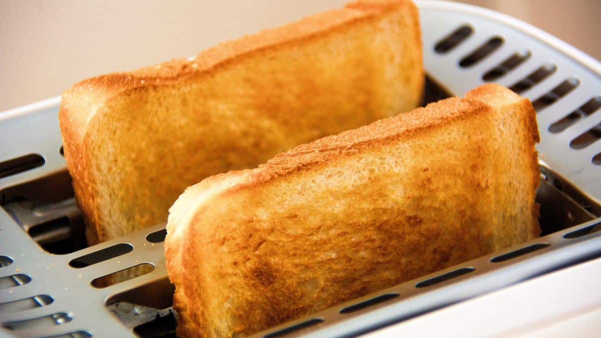 Lidl lance un grille-pain rétro à prix mini qui rivalise avec les ...